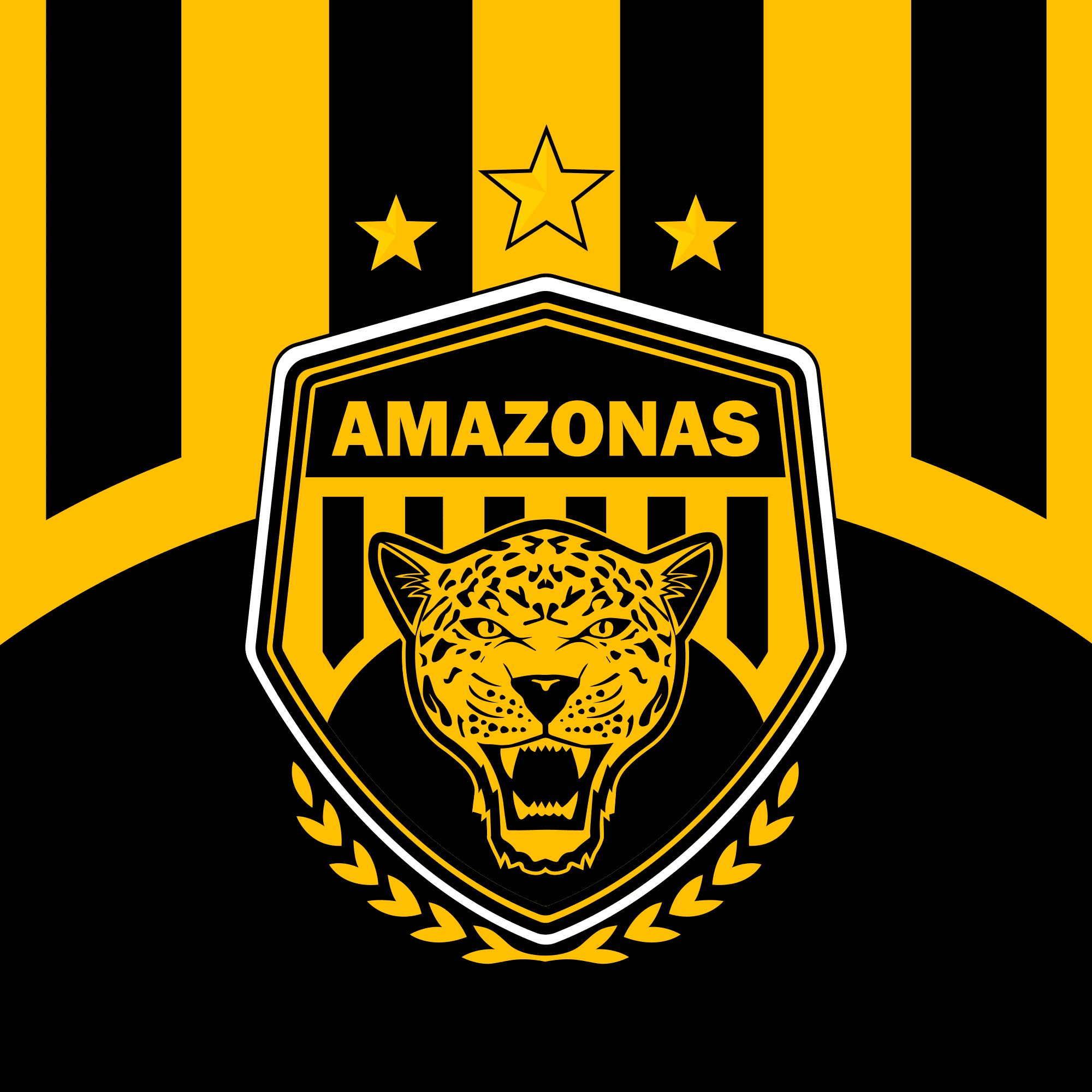 Amazonas FC revela atualização no escudo após conquista histórica ...