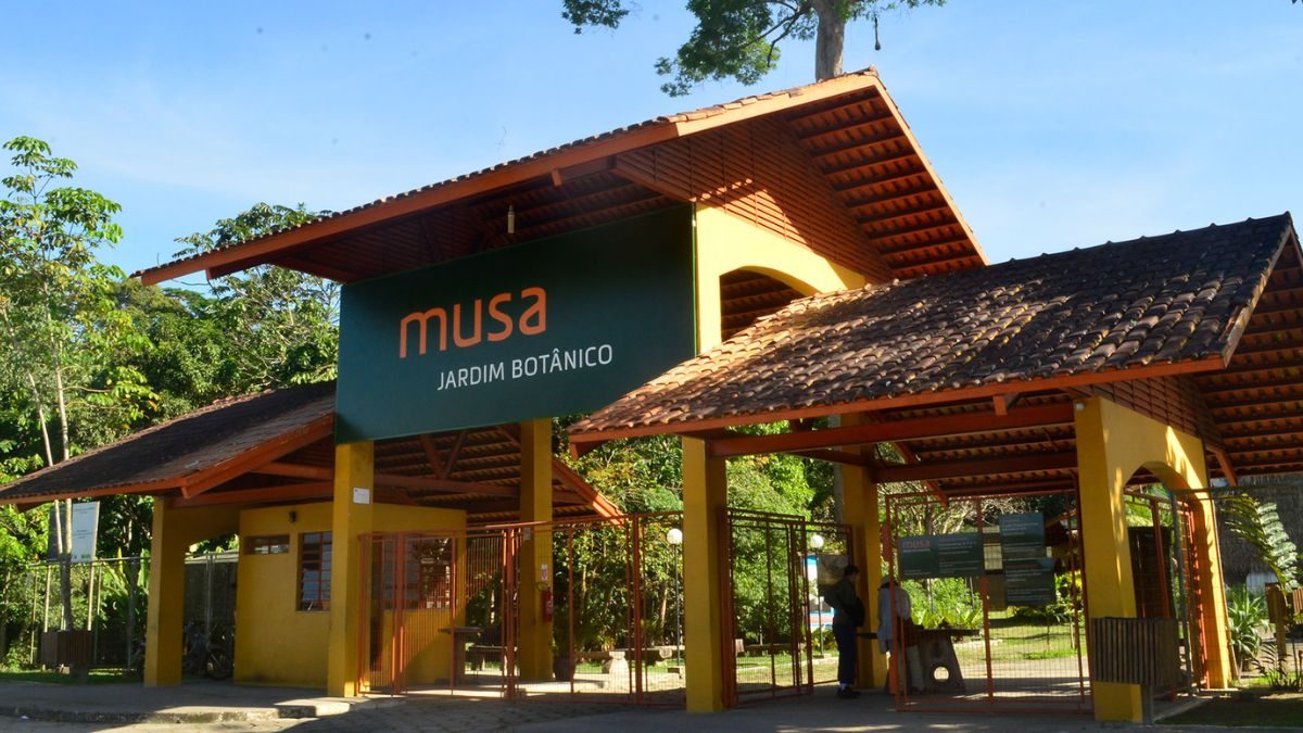 MUSA reduz preço de ingresso em Manaus durante dezembro; confira ...